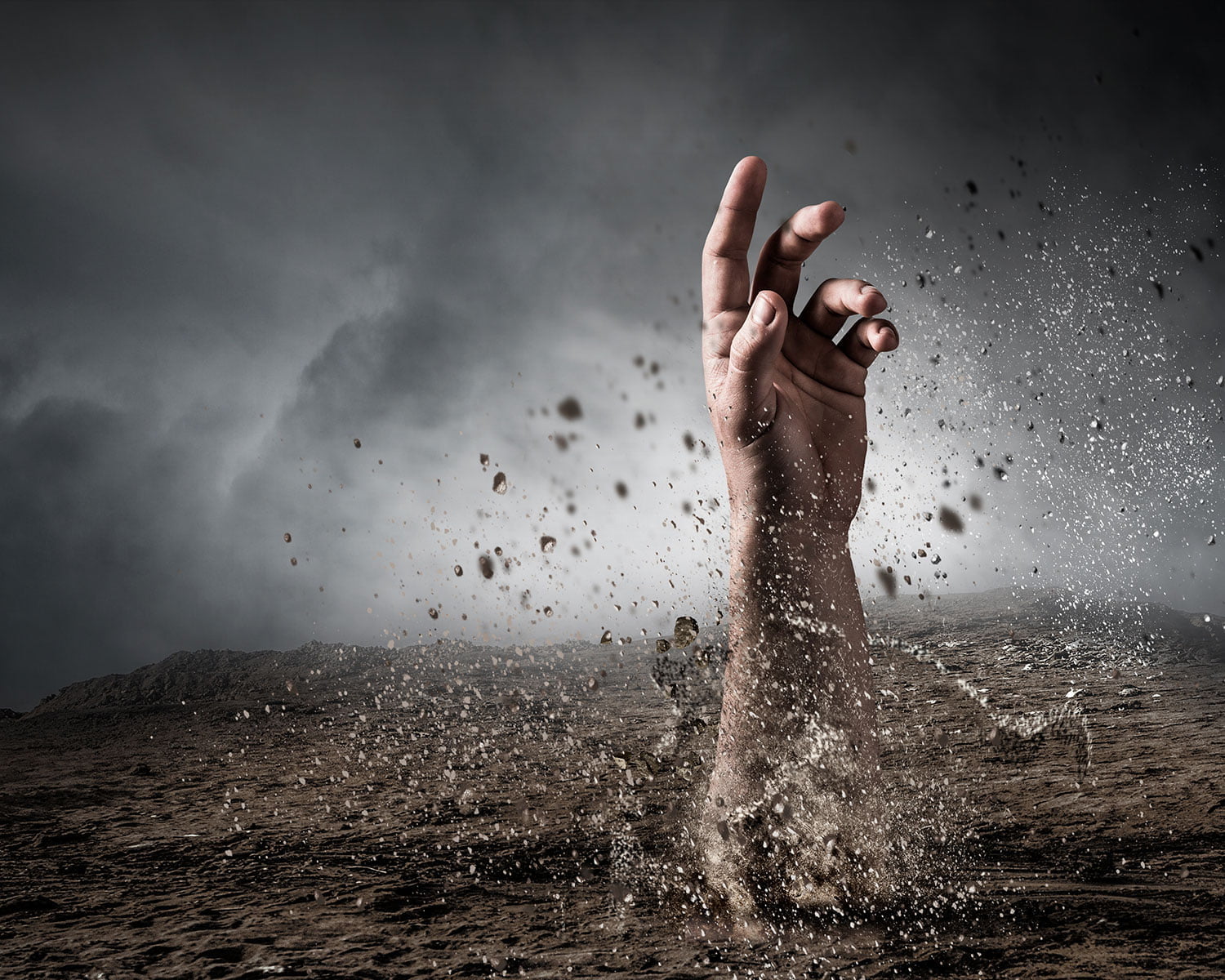 Buried Alive A History Security National Life Buried Alive A History Security National Life